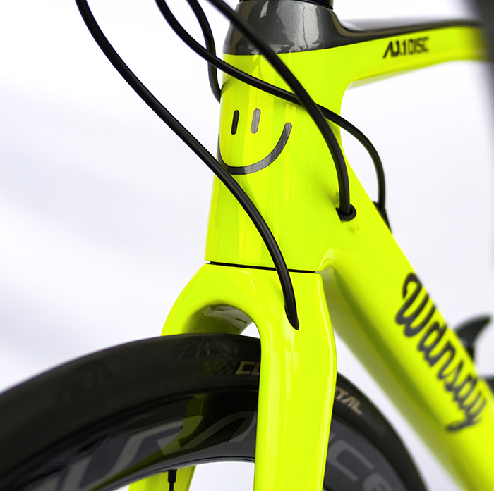 WDNSDY BIKE | AJ1 DISC